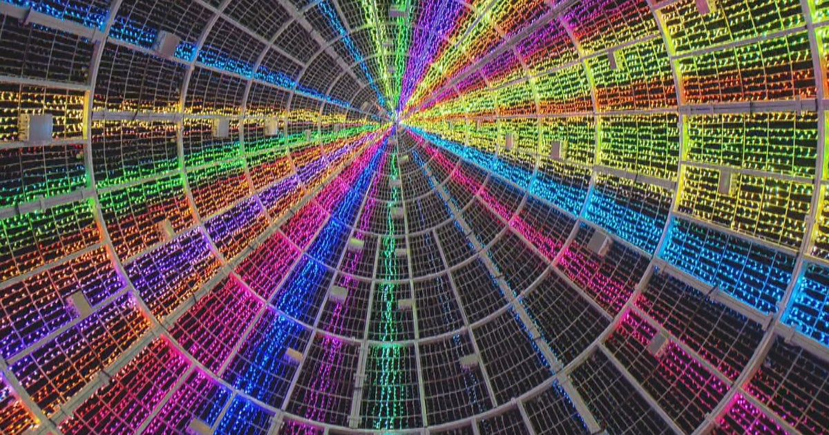 Mile High Tree Features Local Music, New Lights For January - CBS Colorado