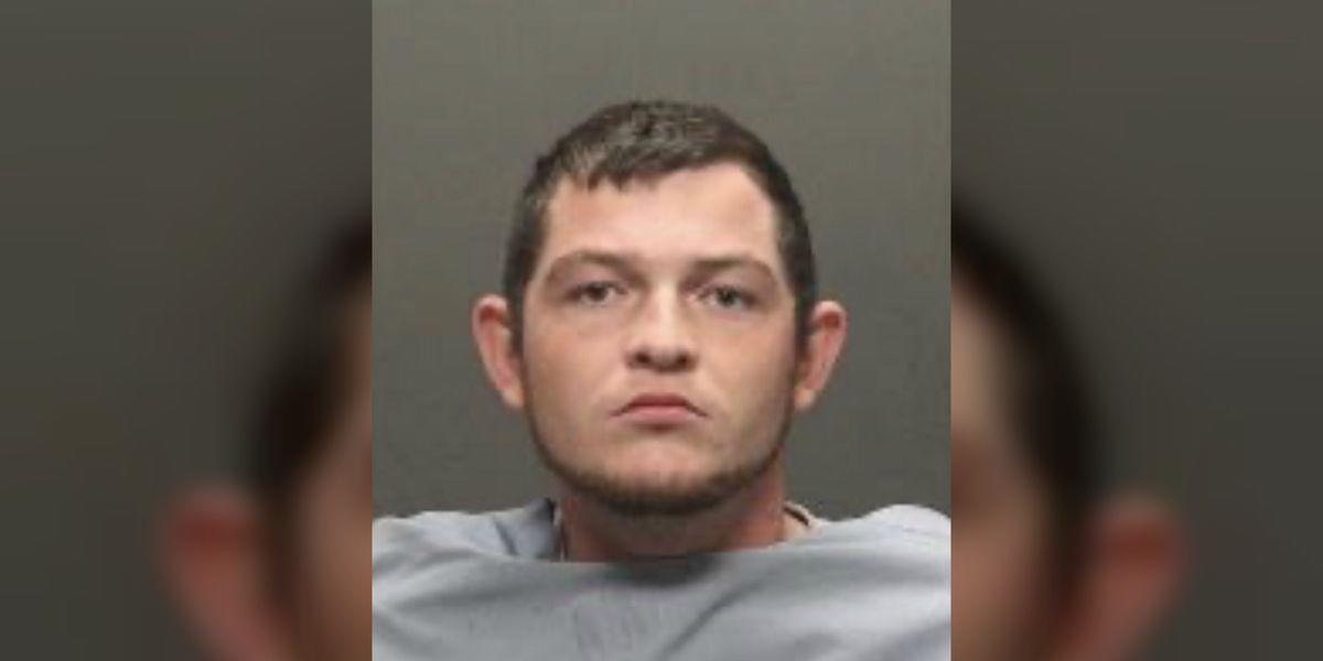 Daylan Jacob Thornton arrested after mountain lions found eating human ...