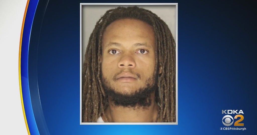 New Details Emerge In Arrest Of Fugitive Wanted In Double Homewood ...