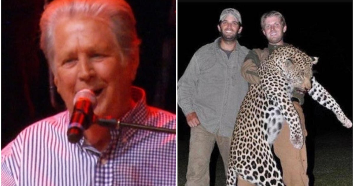 Brian Wilson Beach Boys boycott: Band co-founder urges fans to boycott ...