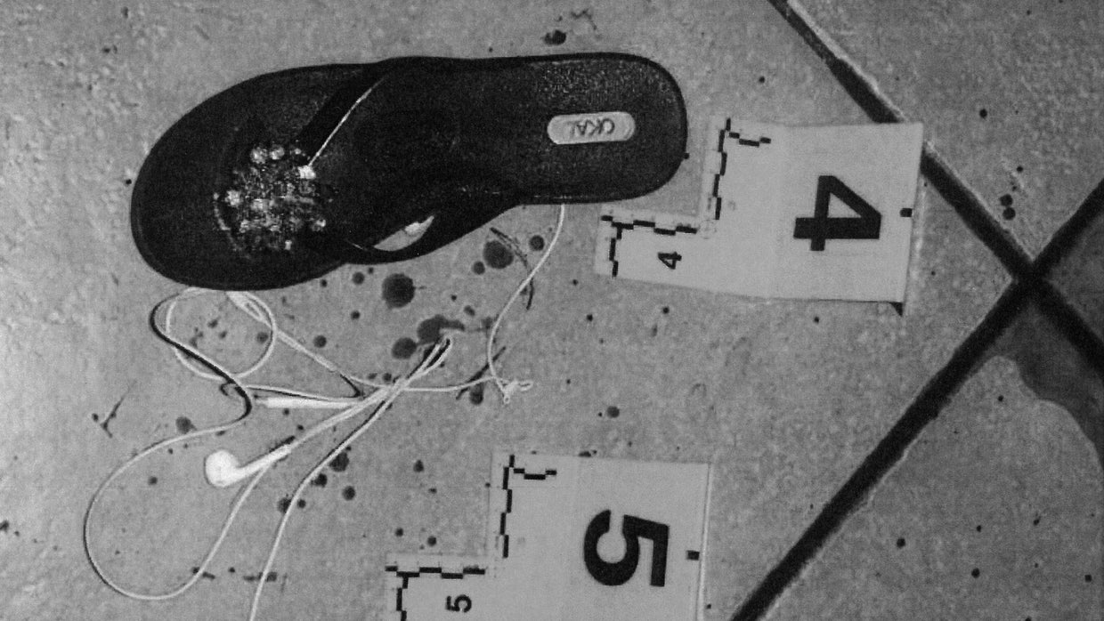 Teresa Sievers murder: How GPS led cops to killers of Florida doctor ...