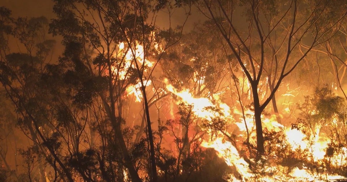 How the bushfires in Australia relate to global climate change - 60 ...