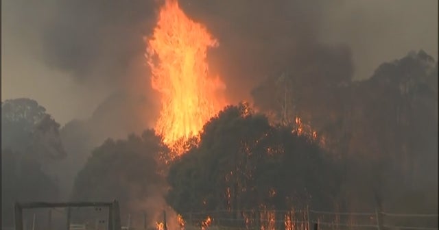 Scientist: Australia shows climate change is happening faster than ...