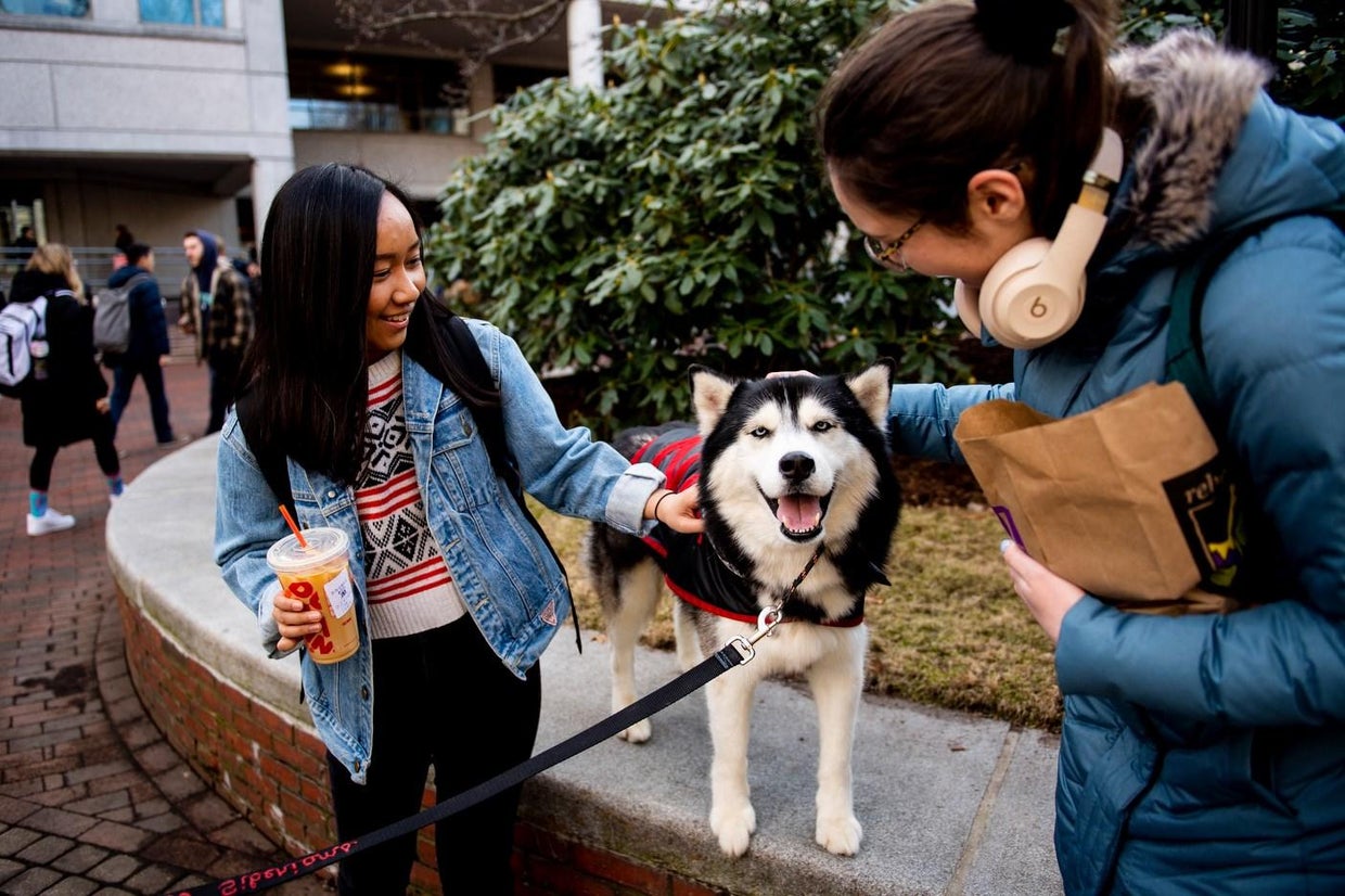 America's most liberal colleges in 2020, ranked