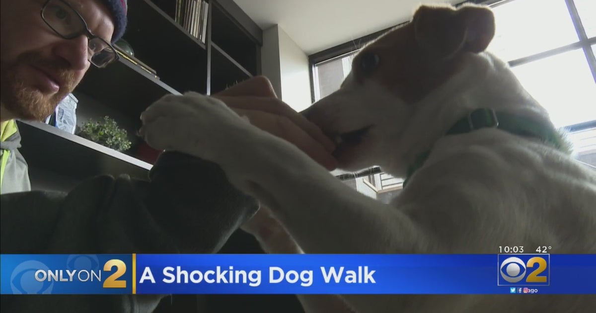 'As Soon As I Grabbed Him I Could Feel The Electricity Running Through ...