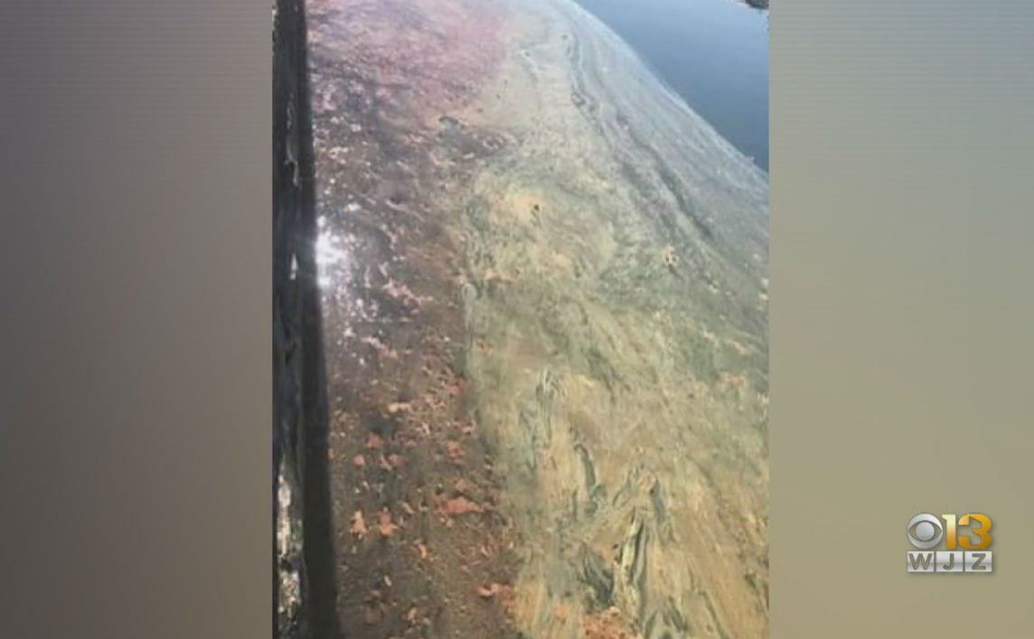 Crews Continue To Search For Source Of Oil Spill In Baltimore Inner ...