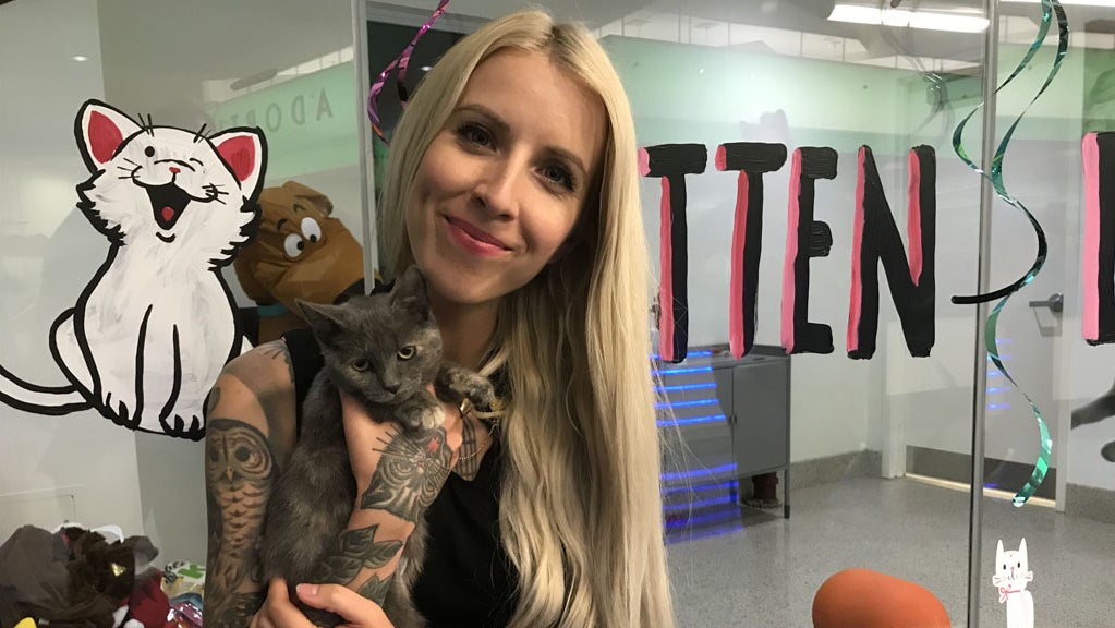 'Kitten Lady' Hannah Shaw 'Empowers People To Foster' At Sold Out Miami ...