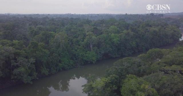 What's behind the destruction of the Amazon rainforest - CBS News