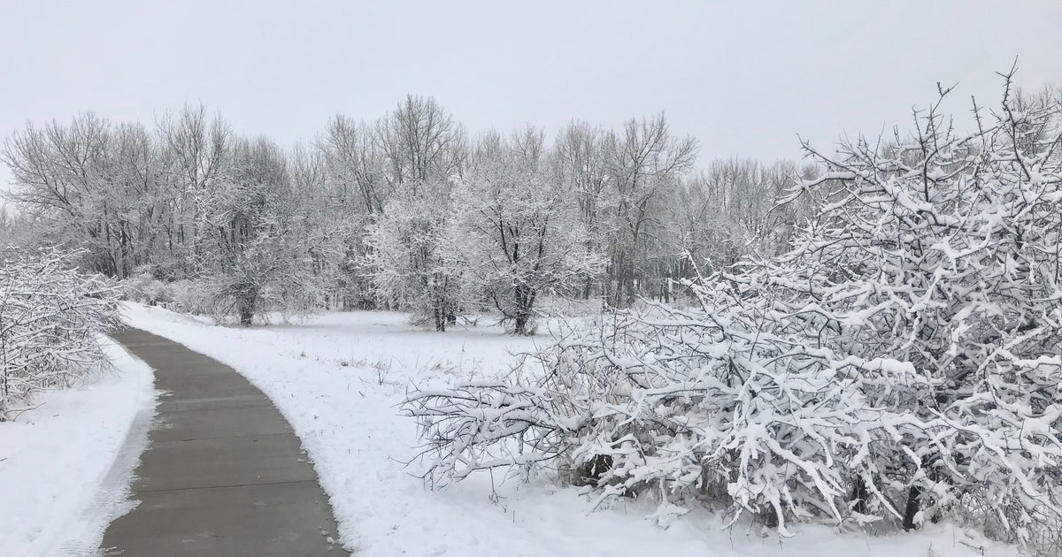 Denver Weather: Snow Totals From Storm Measure Between 0.5 And 4 Inches ...