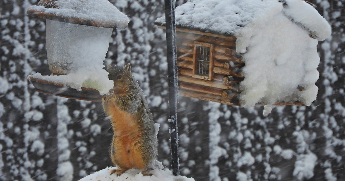 Denver Weather: After Our Biggest Snow Since November, More Expected ...