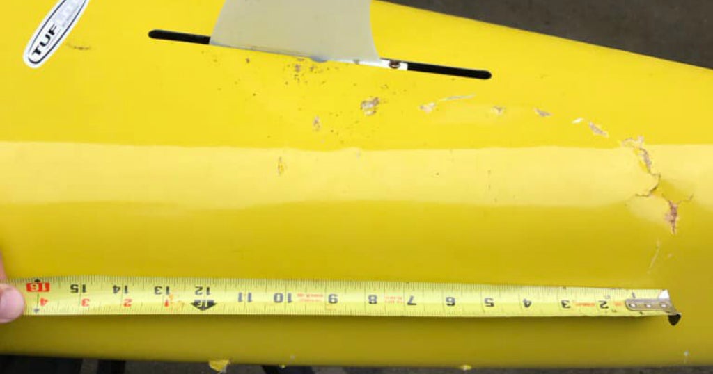 Capitola Paddle Boarder Shark Attack Closes Nearby Beaches In Santa ...