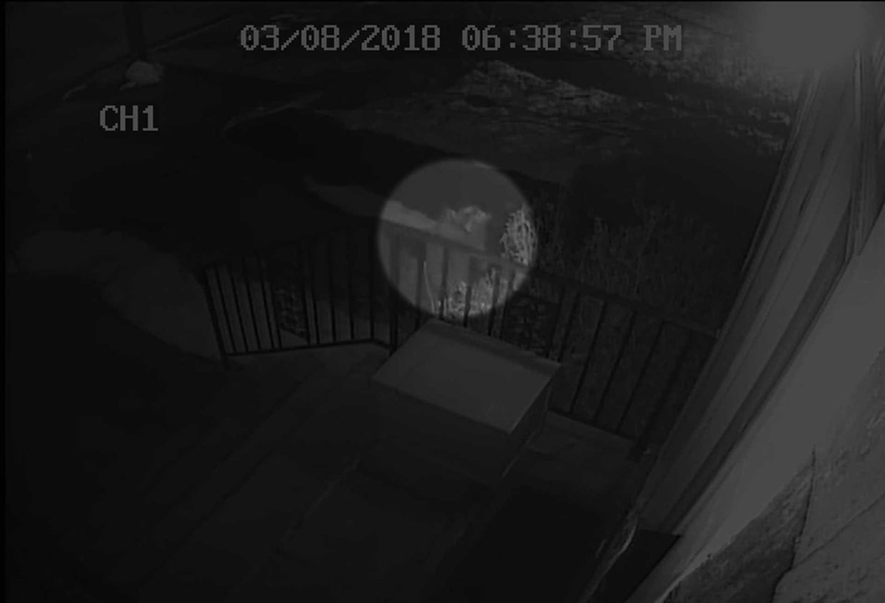 Haley Anderson murder: Crime scene evidence photos