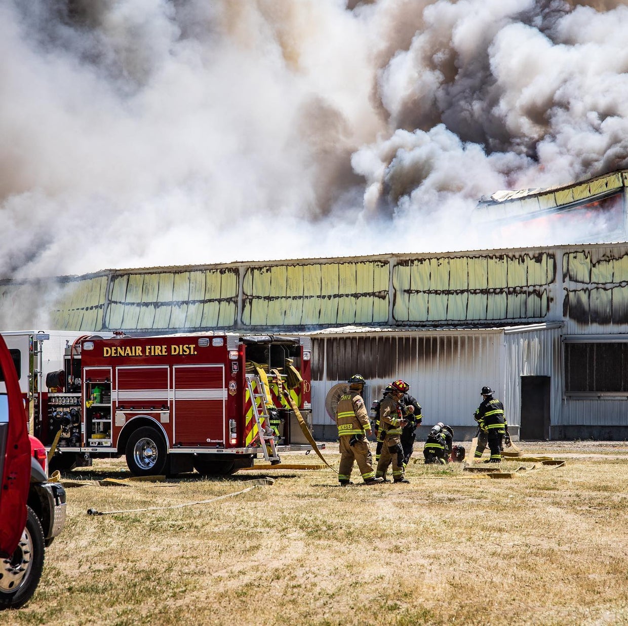 PETA Plans Billboard To Memorialize Chickens, Shame Meat Eaters After ...