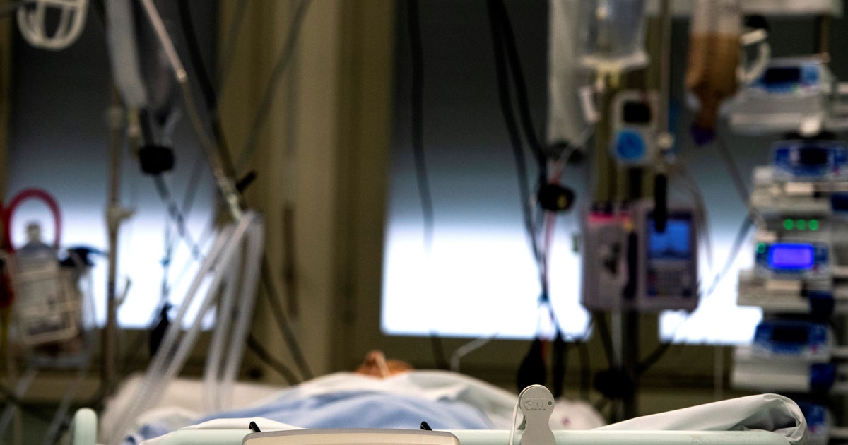 Cedars-Sinai Researchers Find Human Heart Tissue Infusion Successful In ...