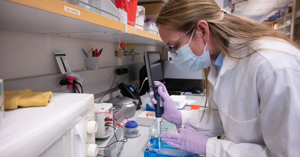 Vaccine First Introduced In 1700s To Fight Smallpox Helps CSU ...