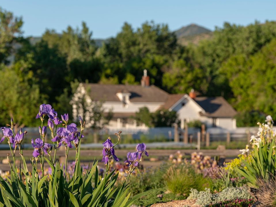 Reopening Colorado: Denver Botanic Gardens At Chatfield Farms Prepares ...