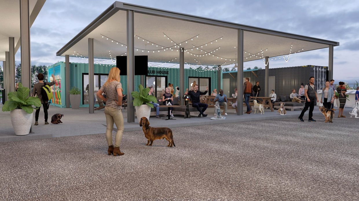 Bark Social, Membership Dog Park That Serves Coffee, Beer To Open In ...