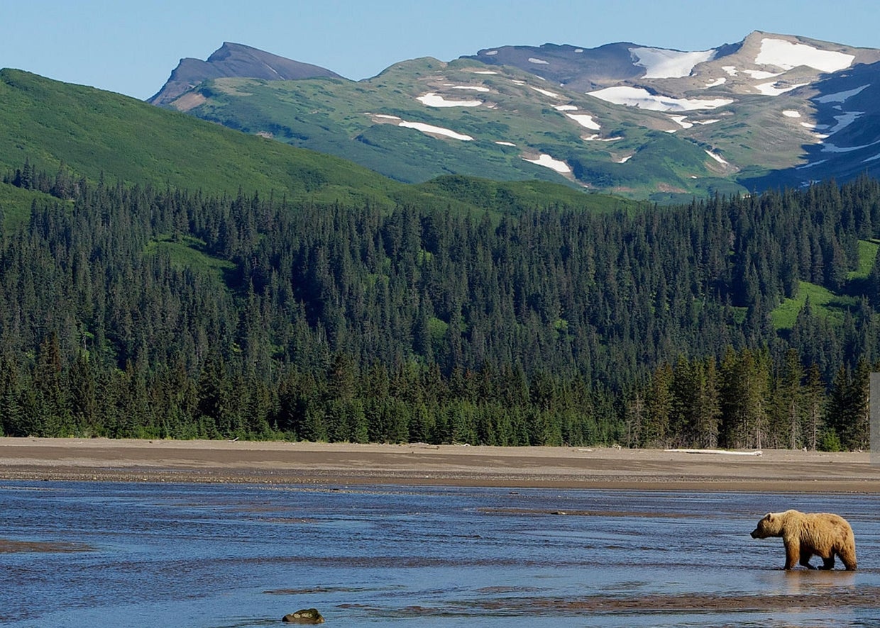 Best national parks in the United States, ranked by popularity