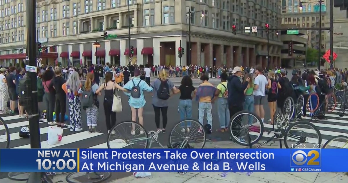 Demonstrators Occupy Michigan Avenue And Ida B. Wells Drive For Silent ...