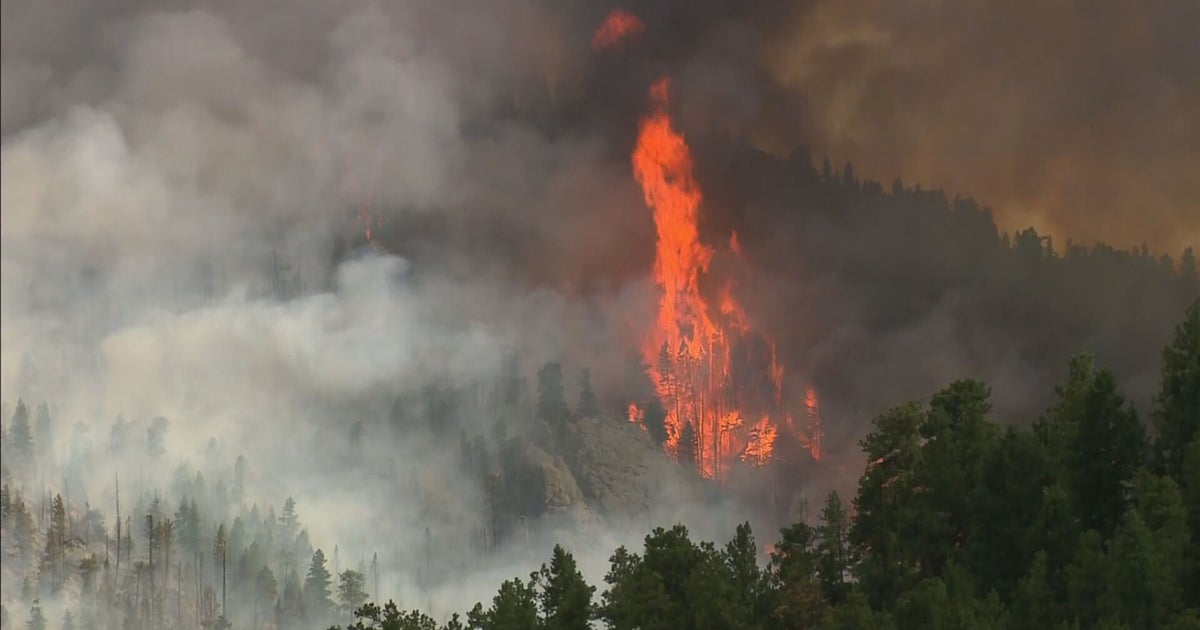 Elephant Butte Fire: Ground Crews In Evergreen Focus On Mop-Up - CBS ...