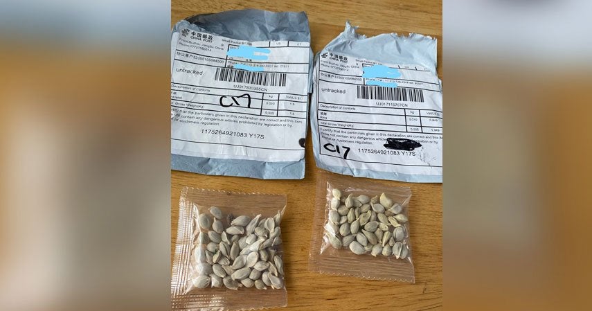 Mysterious Chinese Seeds End Up In Sacramento County - Good Day Sacramento