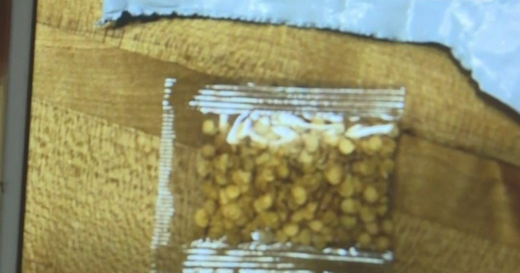 Northern California Agriculture Experts Warn About Strange Seeds ...