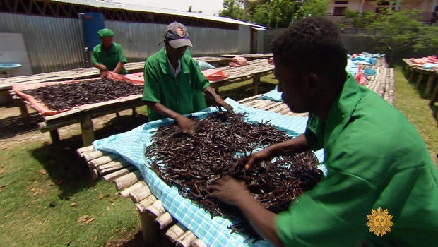 The flavorful story of vanilla - CBS News