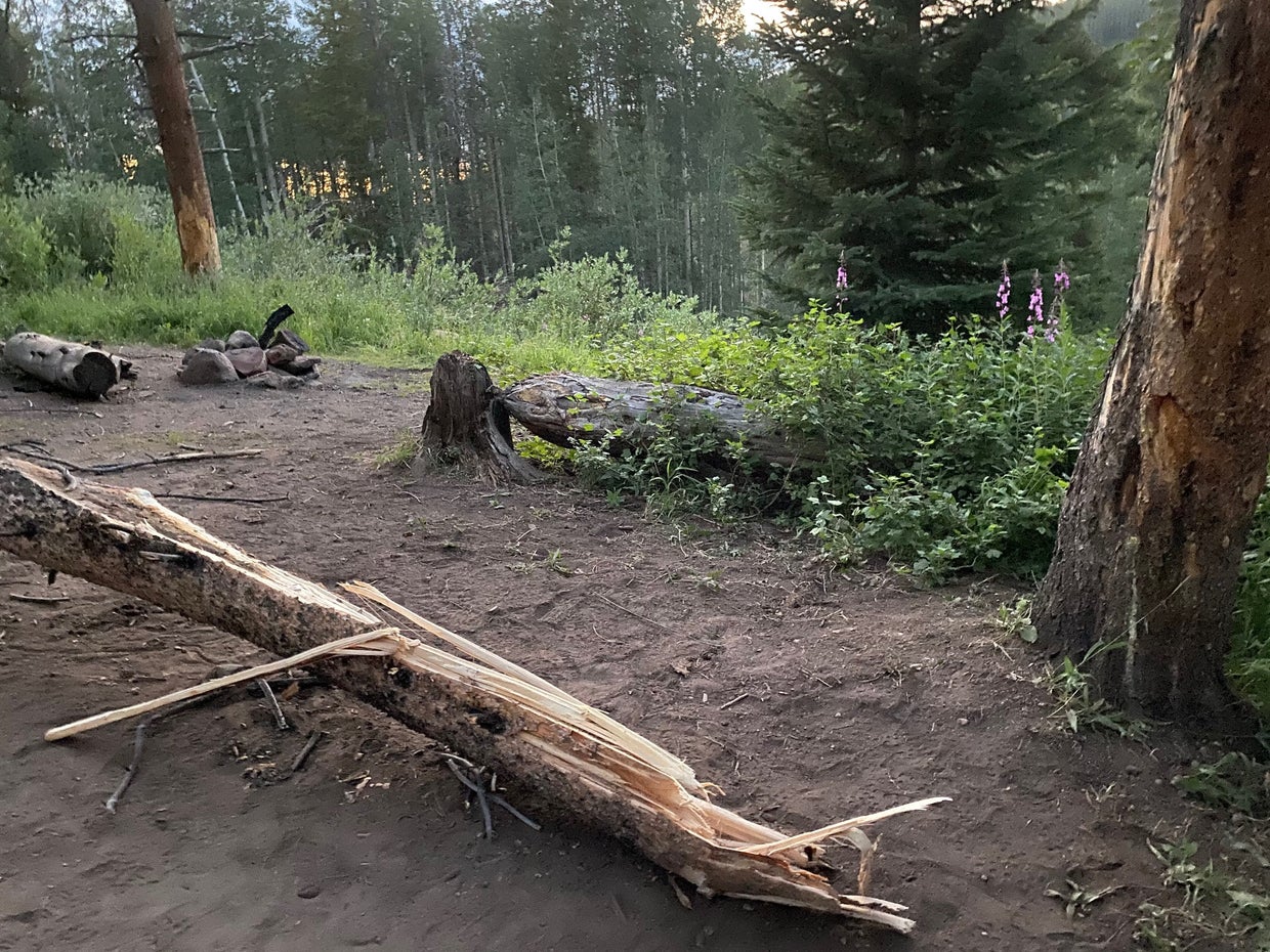 'Life Is Precious': CBS4's Alan Gionet Recounts Tragedy At Campsite ...