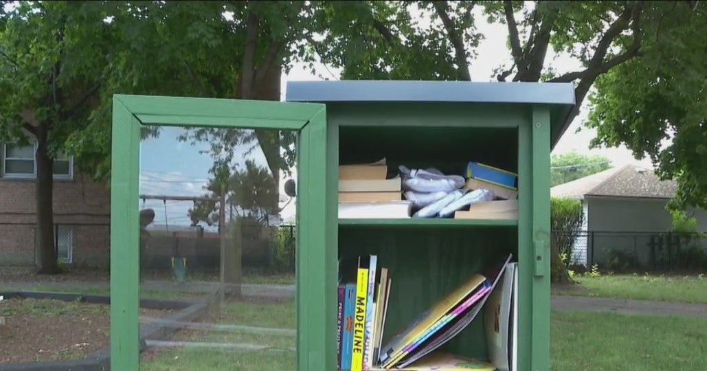 Little Libraries Set Up In Southwest Side Parks Offer More Than Just ...