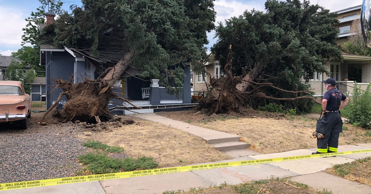Power Outages, Tree Damage Reported After Dry Microburst Hits South ...