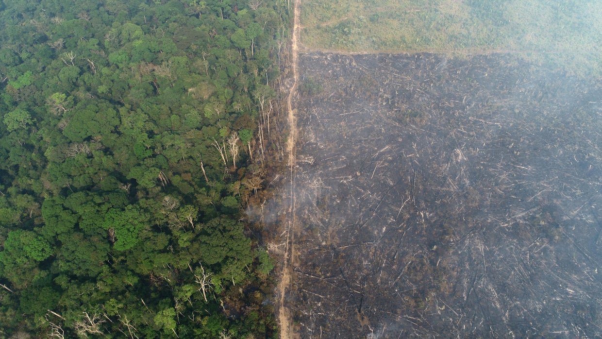 Brazil's Jair Bolsanaro calls new Amazon fires a "lie" — as videos show ...