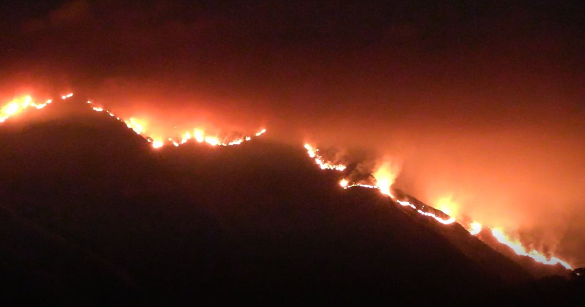 Deer Zone Fires Burning Near Mt. Diablo Grow To 1,450 Acres Overnight ...