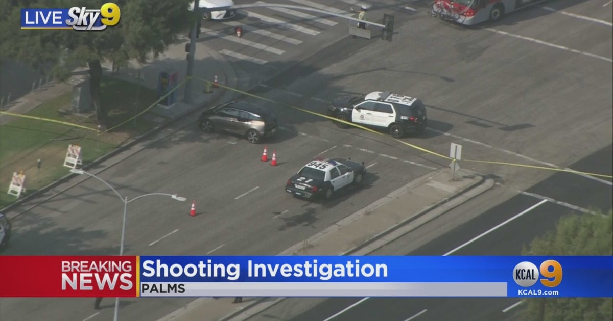 1 Person Injured, Left Lying In 'Middle Of The Street' In Palms ...