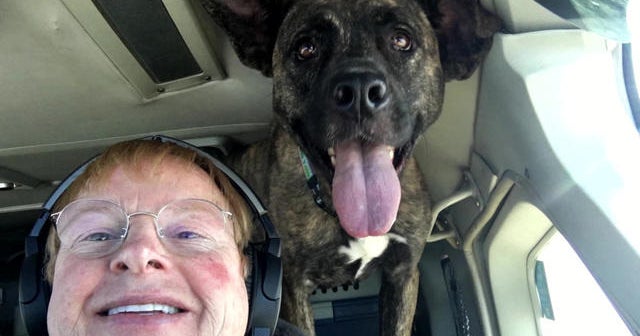 The man behind Dog Is My CoPilot - CBS News