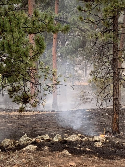 Thorpe Fire Now 50% Contained In Park County - CBS Colorado