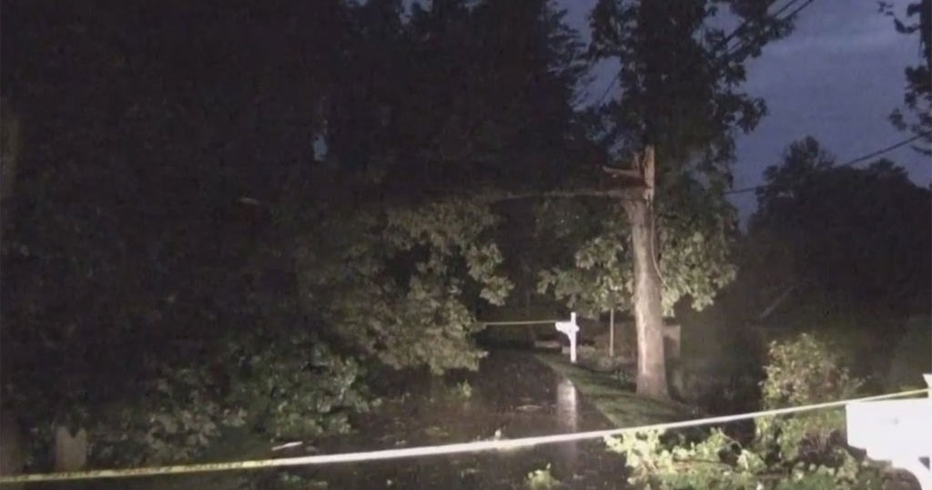 Storms Take Down Trees, Leave Damage Behind After Sweeping Through Tri ...