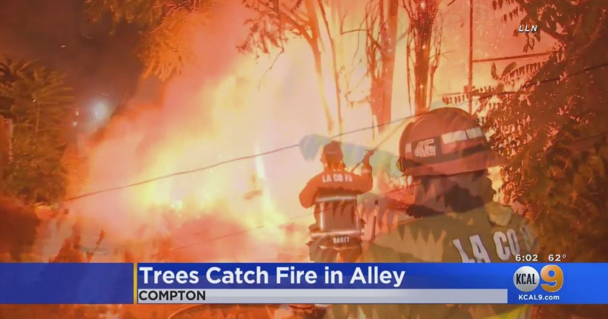 Several Trees Catch Fire In Compton Alleyway Overnight - CBS Los Angeles