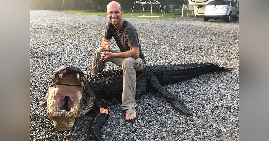 Two Mississippi Boaters Reel In A Massive One-Eyed Alligator Weighing ...
