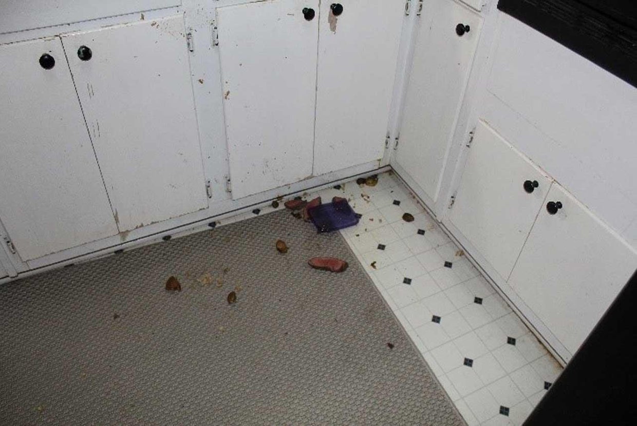 Evidence photos in the case against Mary Katherine Higdon