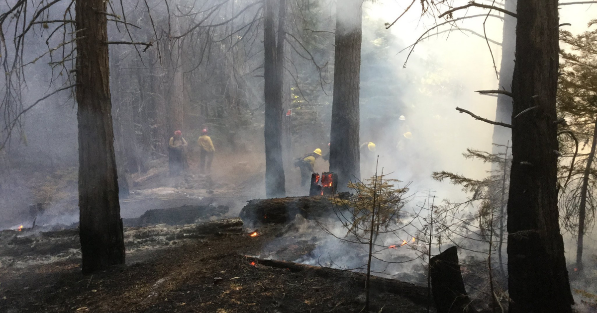 Air Tankers, Ground Crews Contain Small Fire In Eldorado National ...