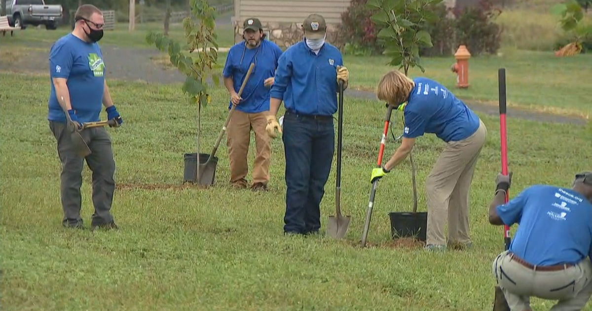Pennsylvania Outdoor Corps Members Take Part In Tree-Planting Project ...