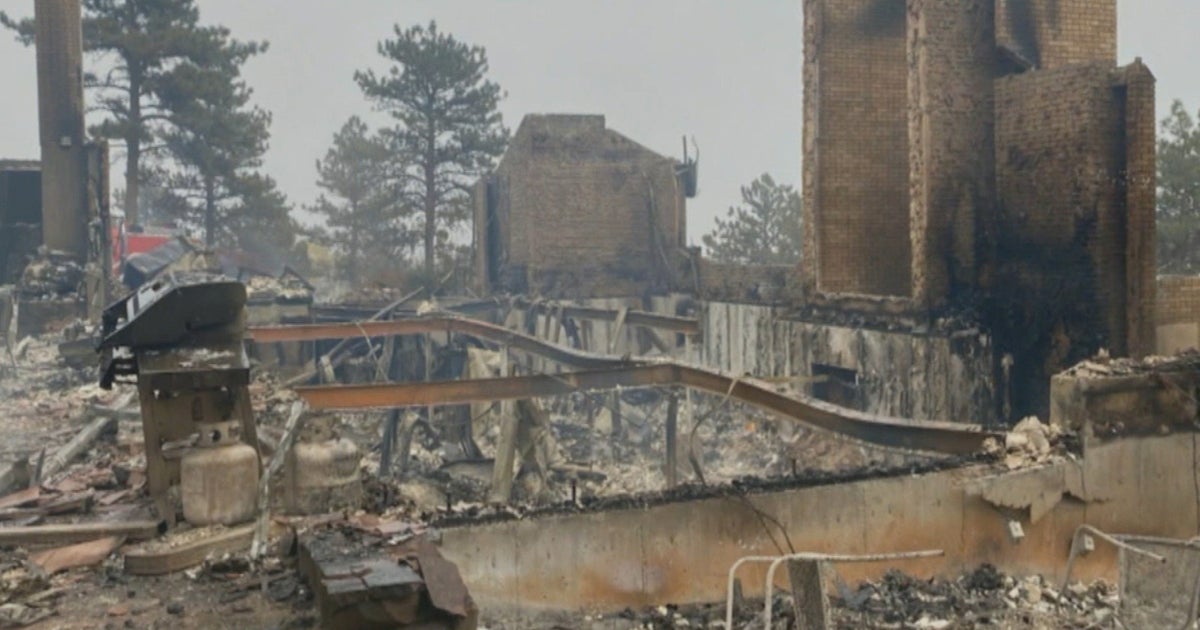 2 years after Calwood Fire, Boulder County works to preserve landscape ...