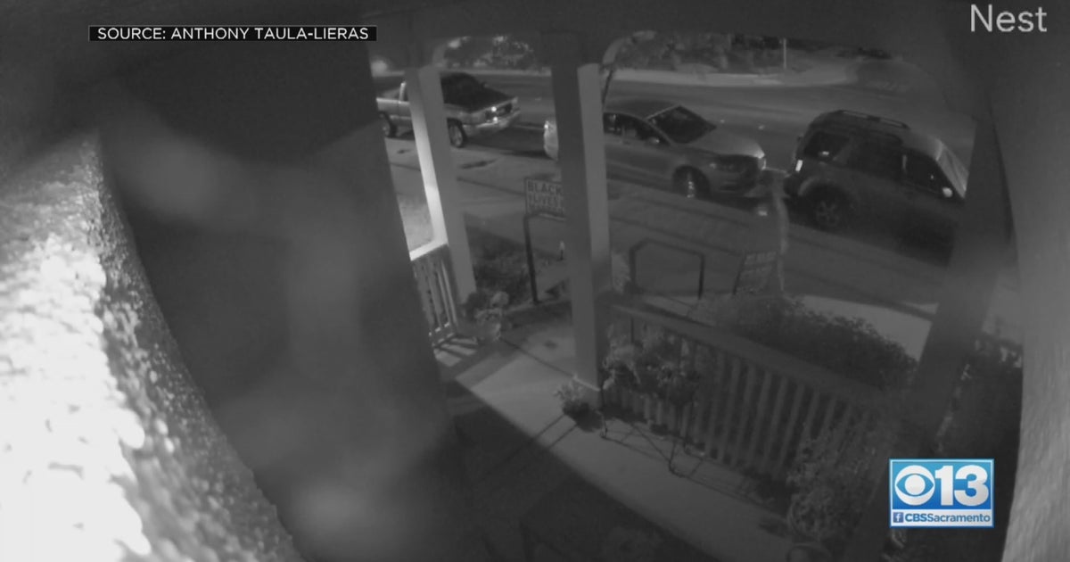 Caught On Camera: Dog Feces Flung At Roseville Home With BLM Lawn Signs ...