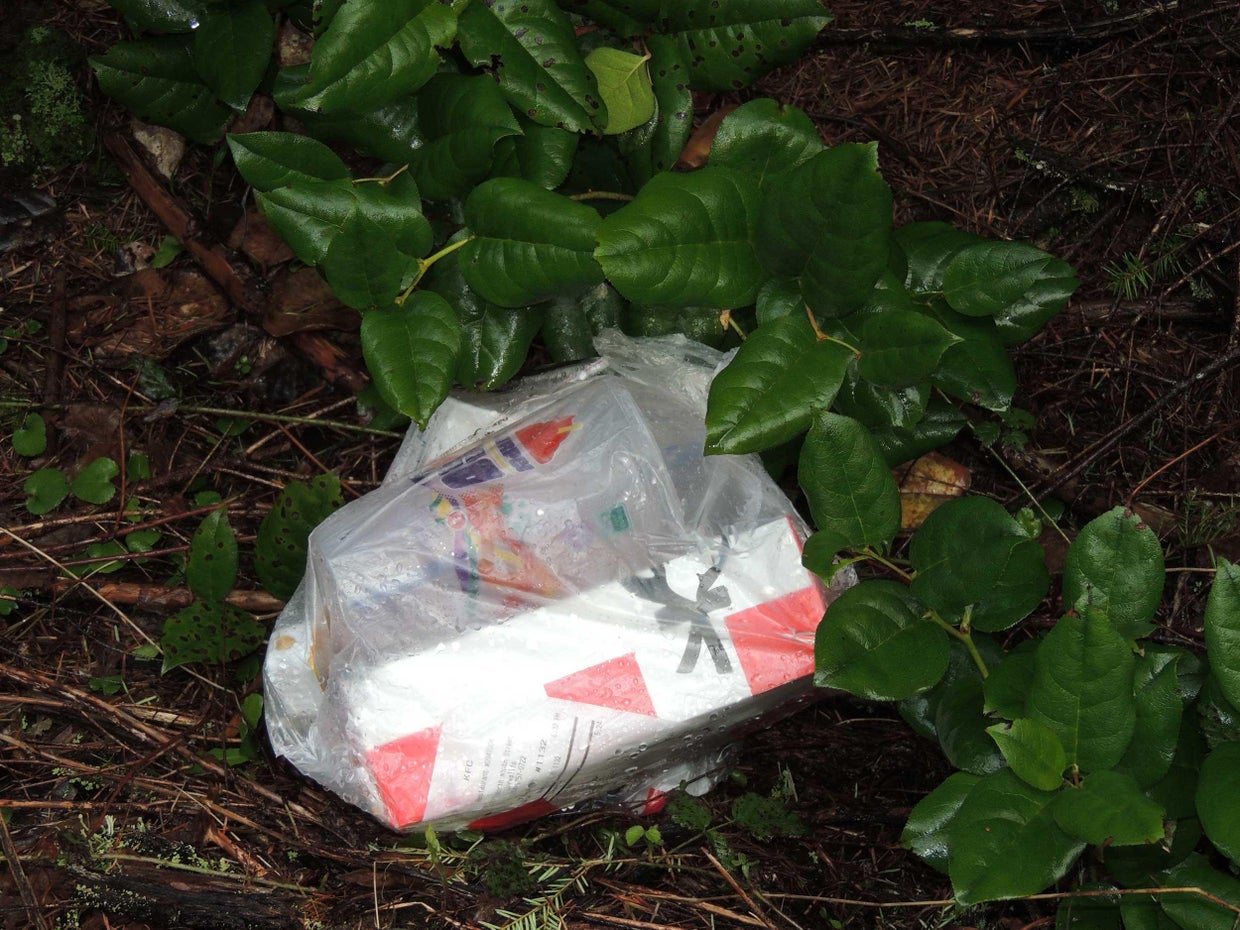 Trash or treasure? The evidence that helped find Anna Repkina's killer