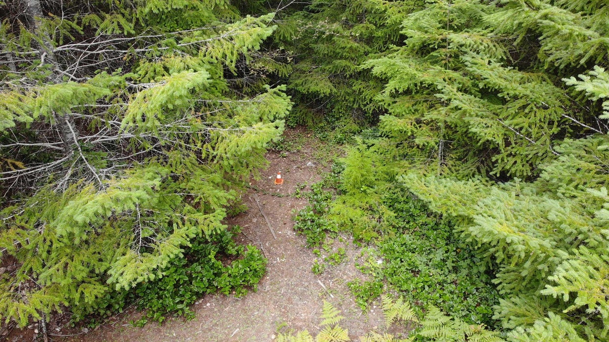 Did a love triangle ultimatum lead to Anna Repkina's murder? - CBS News