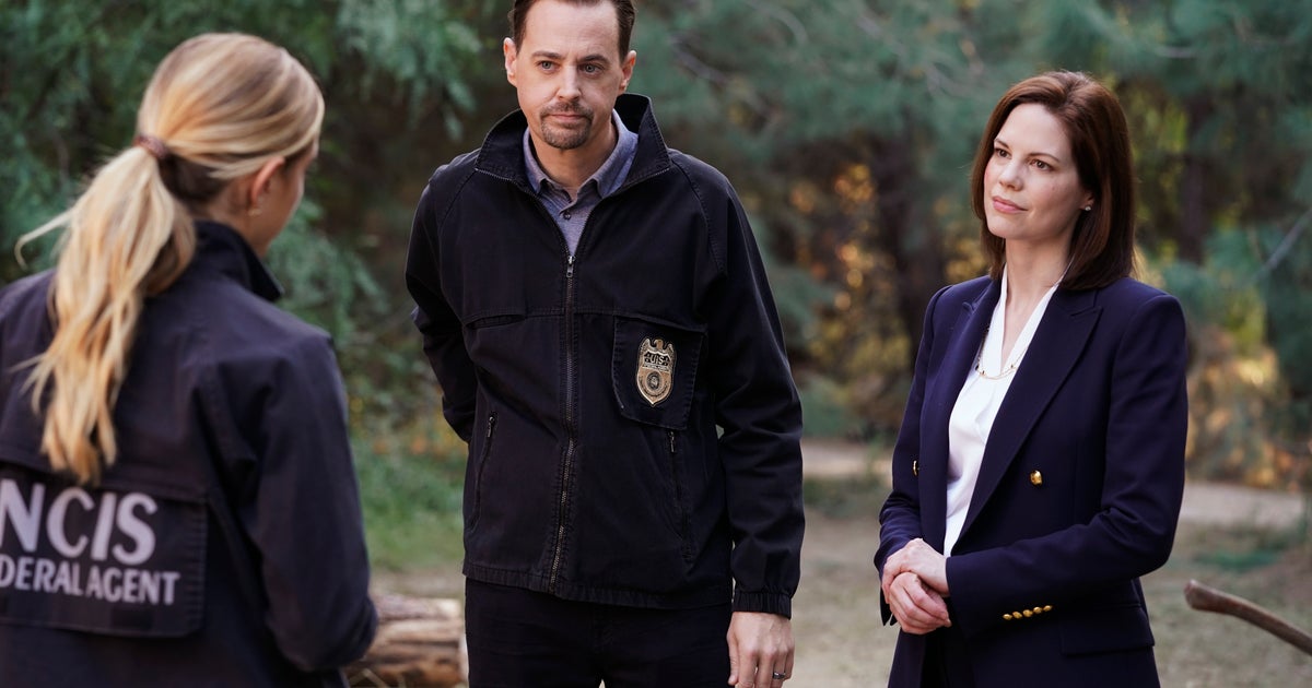 Sean Murray On 'NCIS' Staying Power After 400 Episodes: 'Everyone Can ...