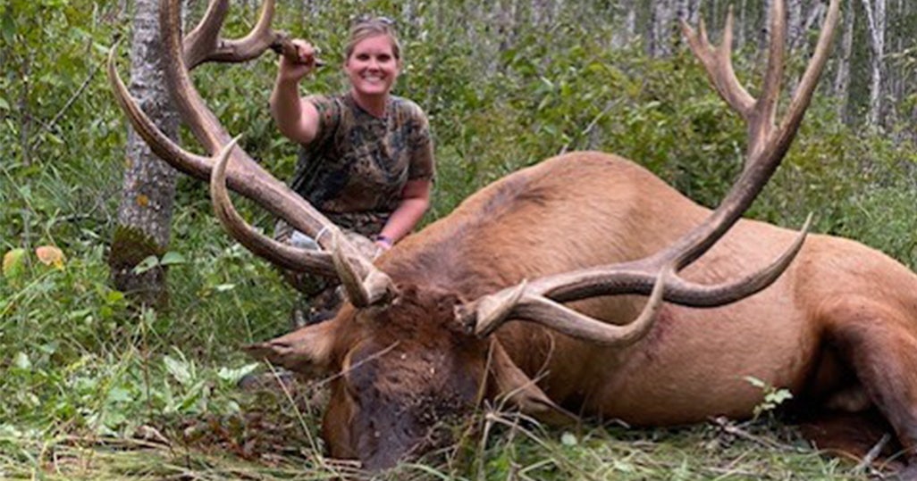 Giant Bull Elk Harvested In Northern Minnesota - CBS Minnesota