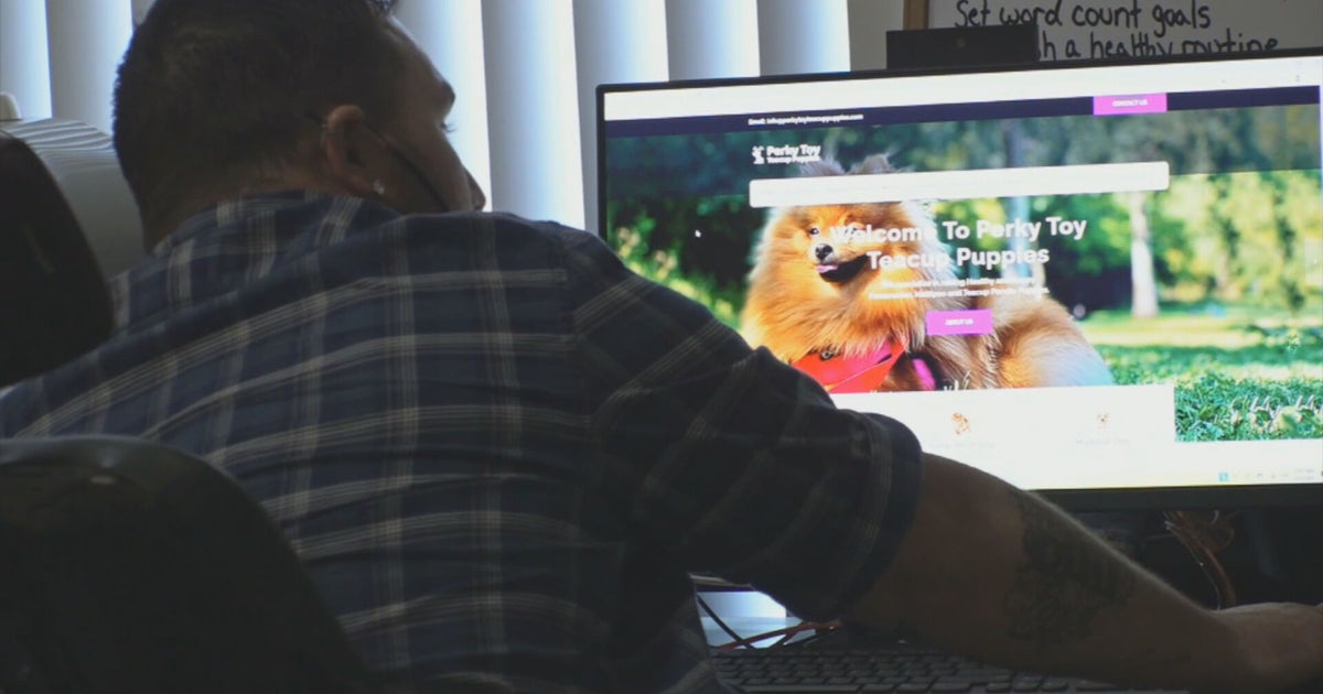 'Website Looks Legit': Man In Search Of New Puppy Scammed Out Of Nearly ...