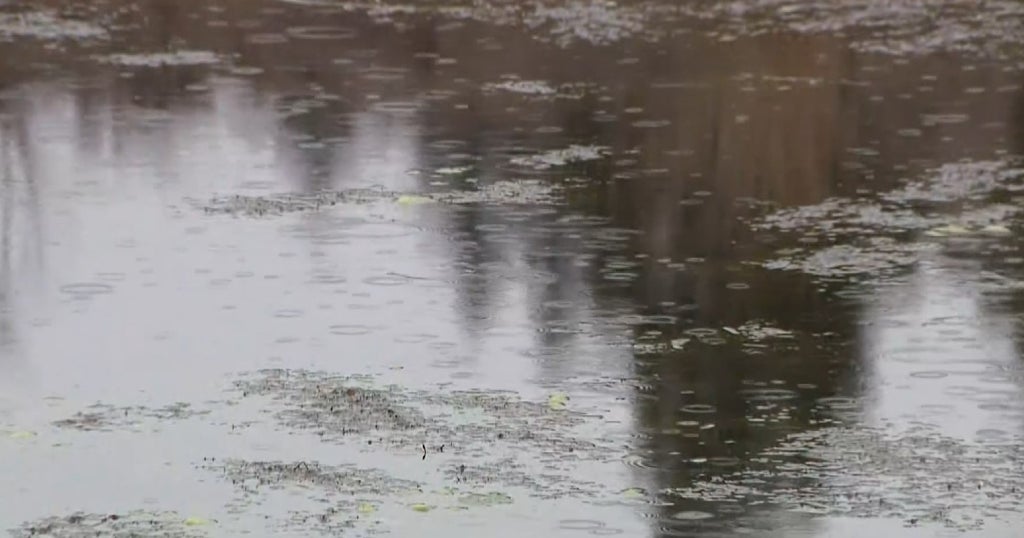 Early morning storm front brings hail, thunder showers; Rain forecast ...