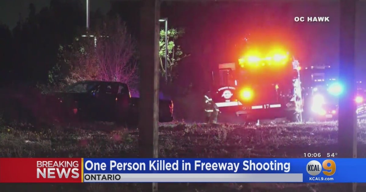 Possible Road Rage Incident Ends In Fatal Shooting On 15 Freeway In ...